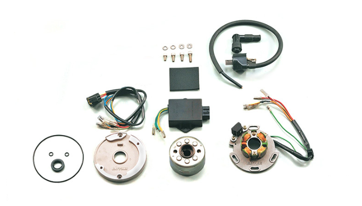 Daytona 150-190 4 Valve Anima Outer Rotor Ignition System - WHS-5800 ...