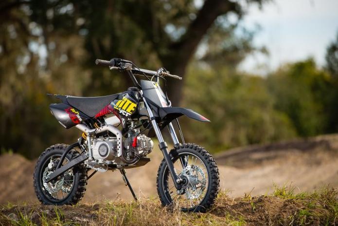 YCF - Lite F125 - WHS-6304 - Piranha and YCF Pit Bikes - Pit Bikes ...